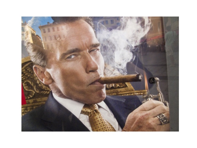 Elaine Mayes - Swodniw Series