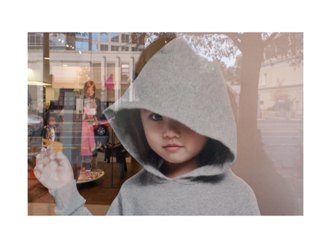 Elaine Mayes - Swodniw Series